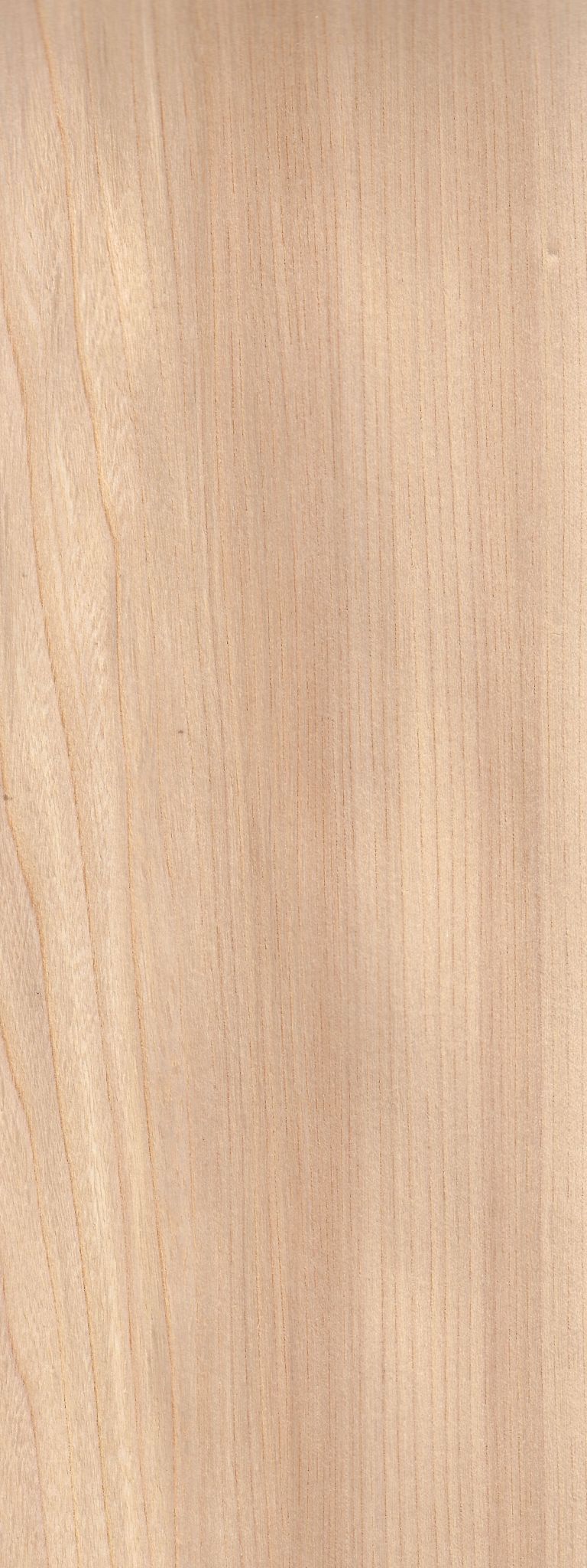 Elm, Grey Veneer | Ulrich veneers