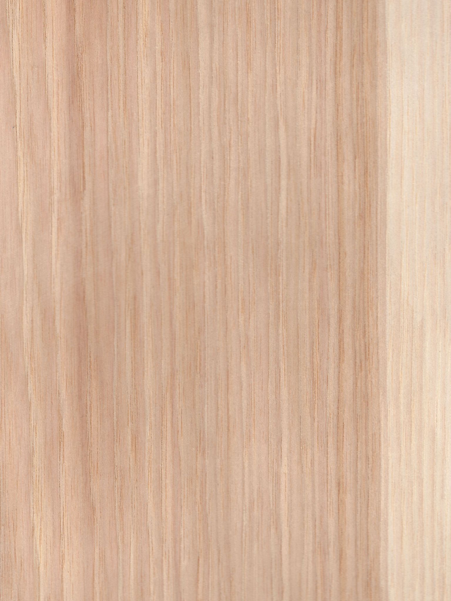 Hickory Furnier | Ulrich Furniere