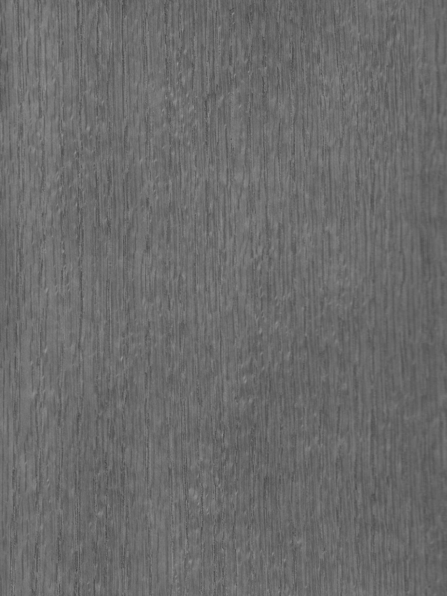 Eiche, Mid Grey Furnier | Ulrich Furniere