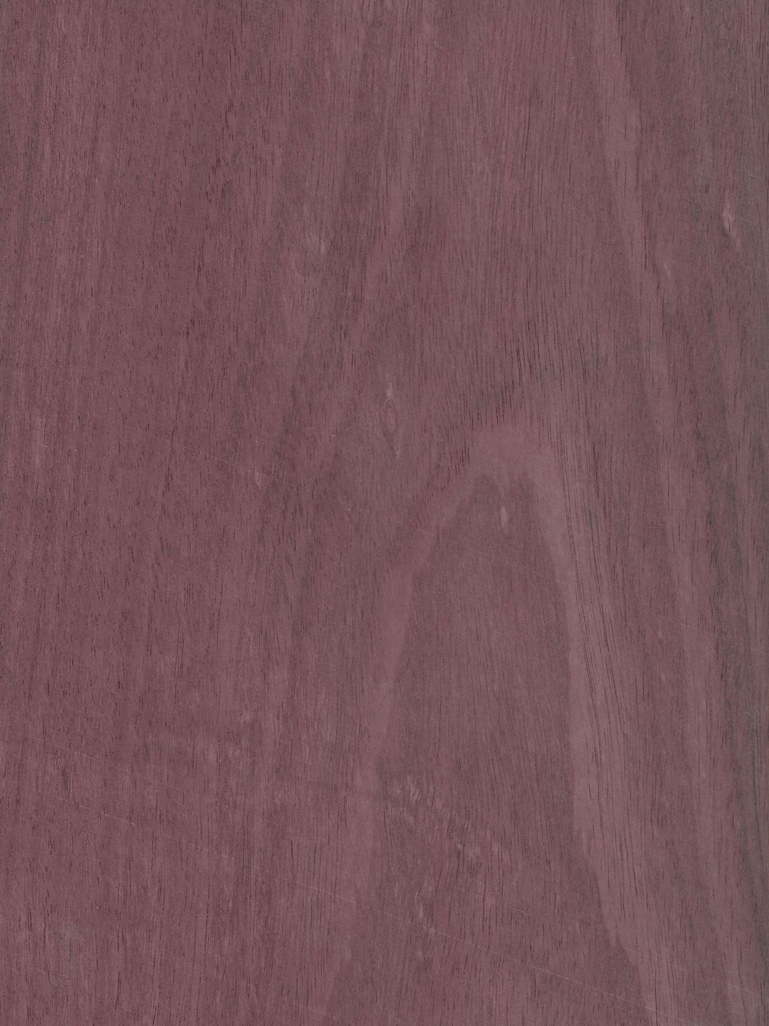 Amaranth Furnier | Ulrich Furniere