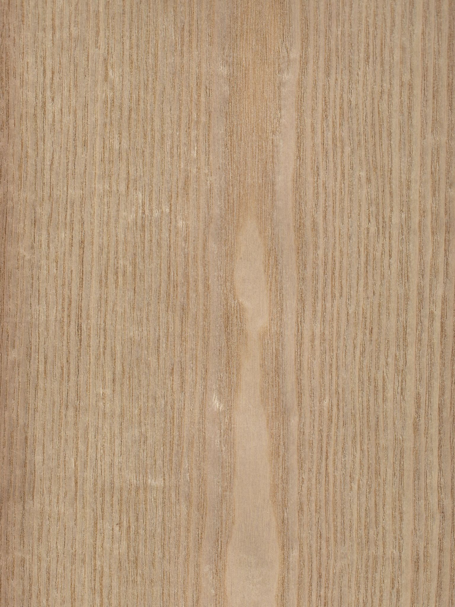 Sassafras Furnier | Ulrich Furniere