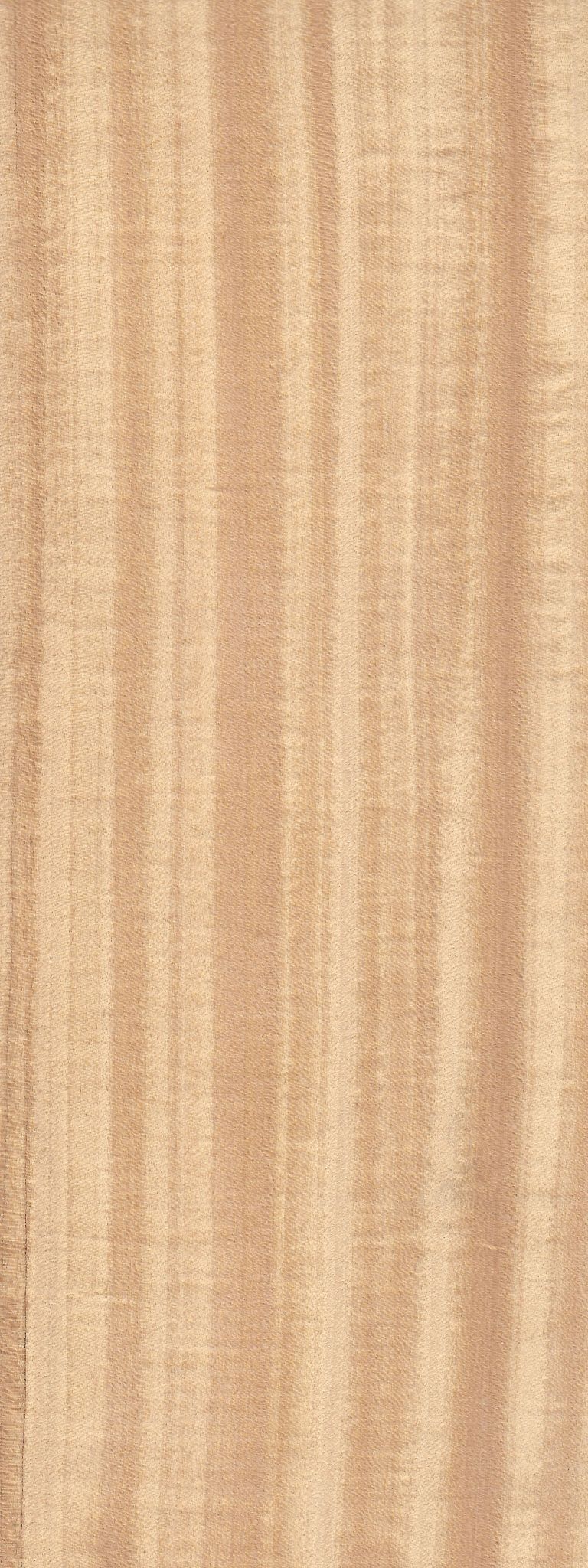 Satinwood Furnier | Ulrich Furniere